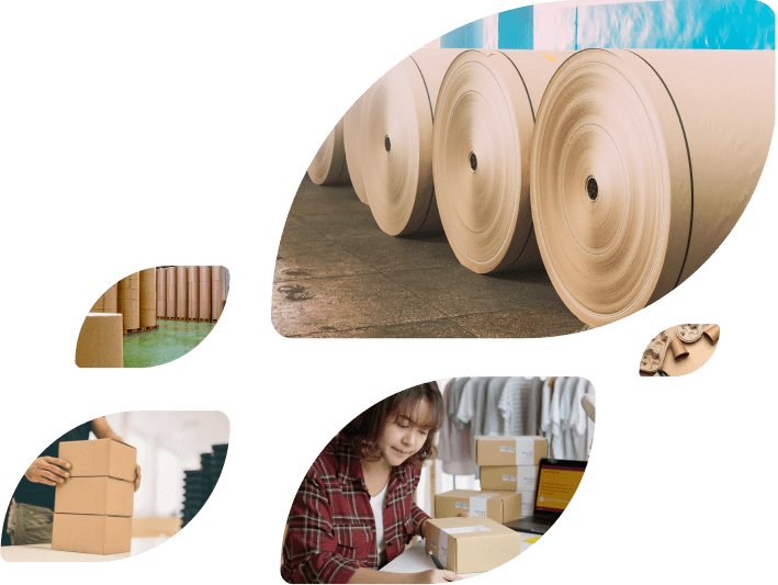 Paper and Paper Products | PiNVEST